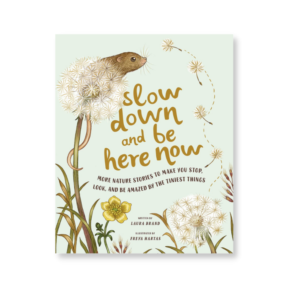 New Arrivals – wldwst